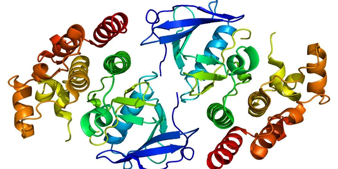 ¿Qué es BRAF? – Genolife