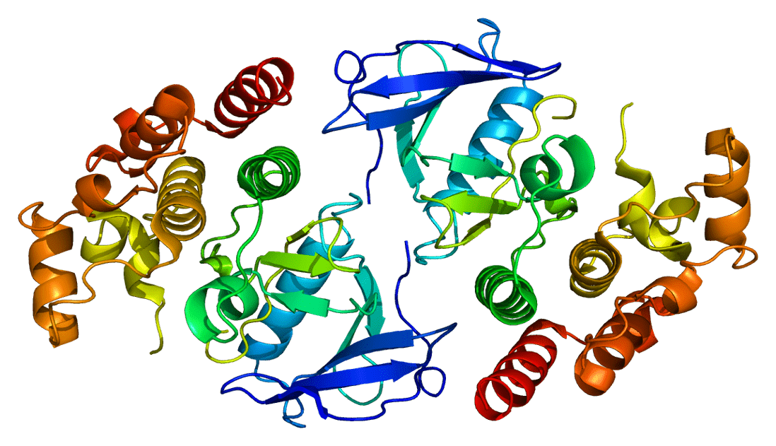¿Qué es BRAF? – Genolife